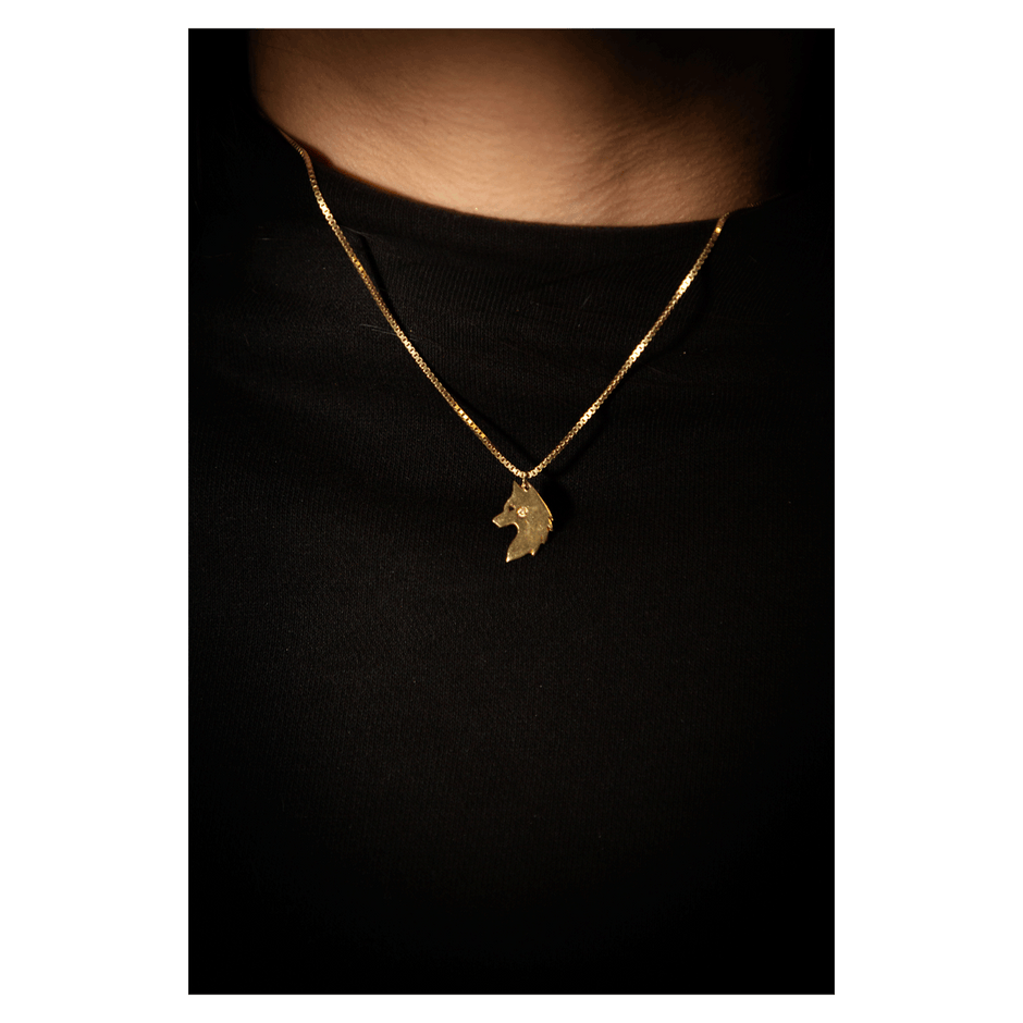 Shakira Merch – Official Shakira Shop – Shakira Store